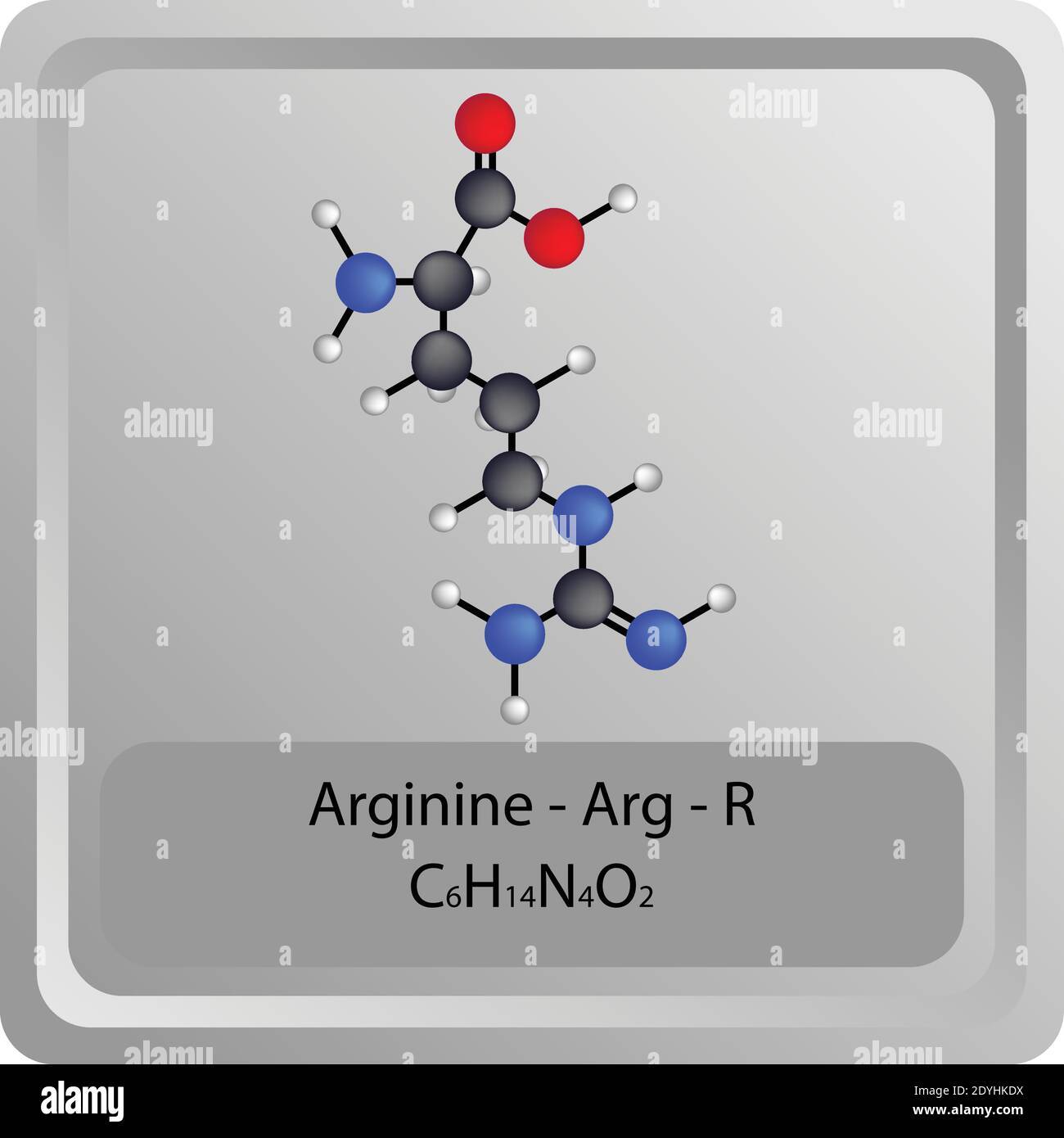 Structure Of Arginine
