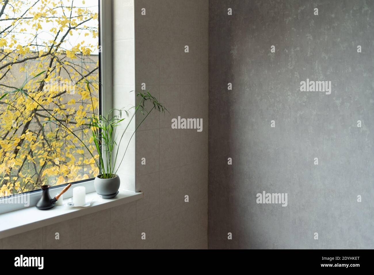 Room design in light colors. Corner of room, window and flower in pot ...