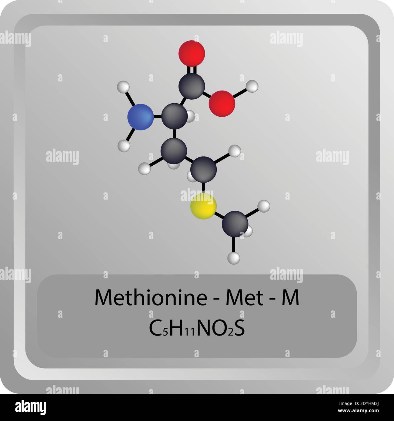 Methionine Lewis Structure
