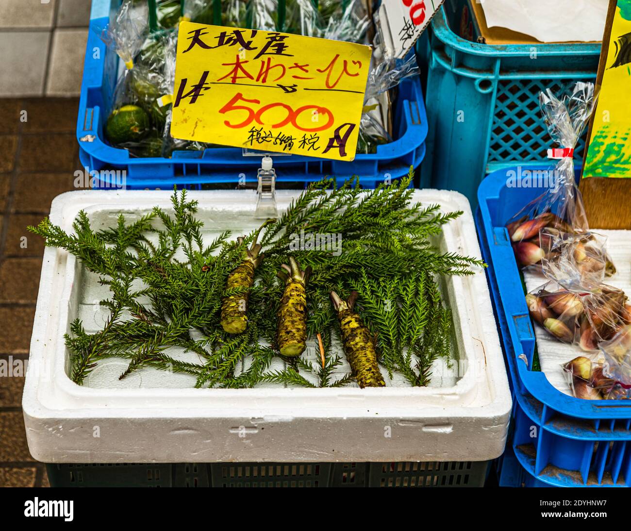 Fresh wasabi stalks at a market in Tokyo. The outer layer of the stem ...