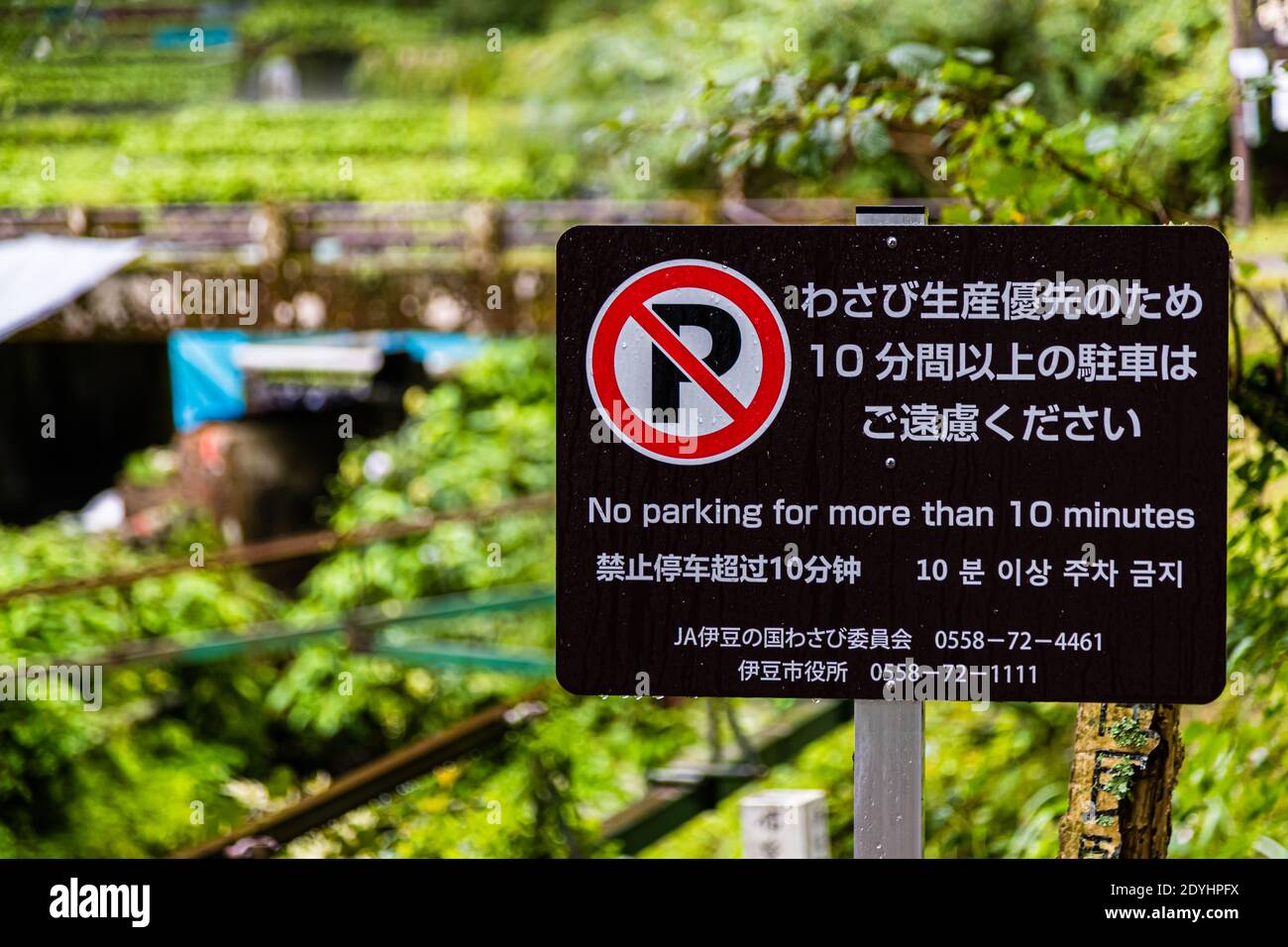 Prohibition sign on the Izu Peninsula in Japan. In the sensitive ...