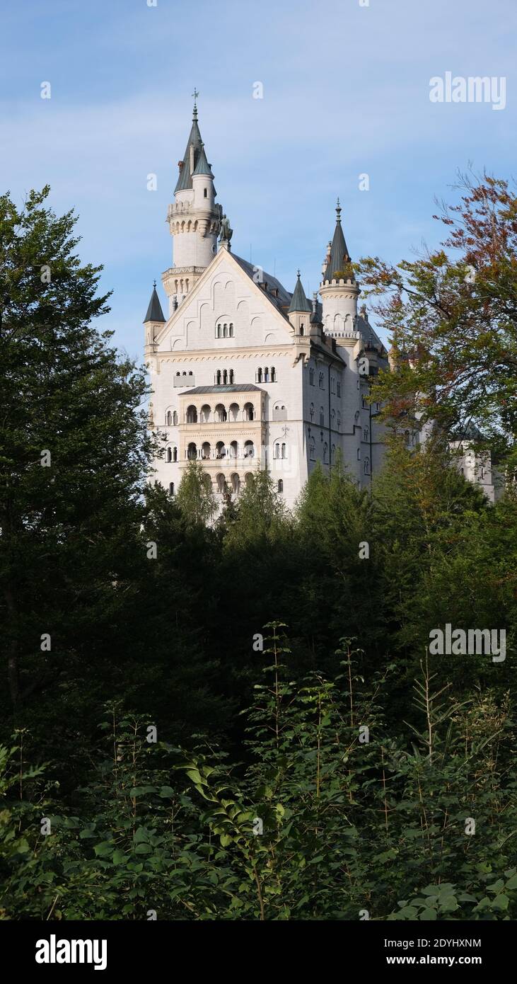 A vertical shot of the beautiful Neuschwanstein Castle captured in ...