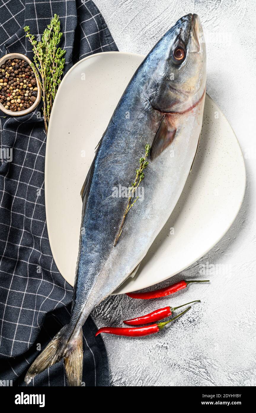 Japanese Yellowtail Fish