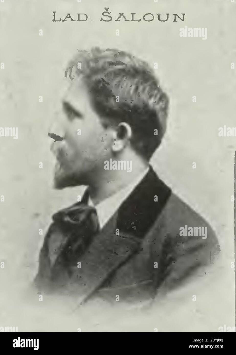 Ladislav saloun hi-res stock photography and images - Alamy