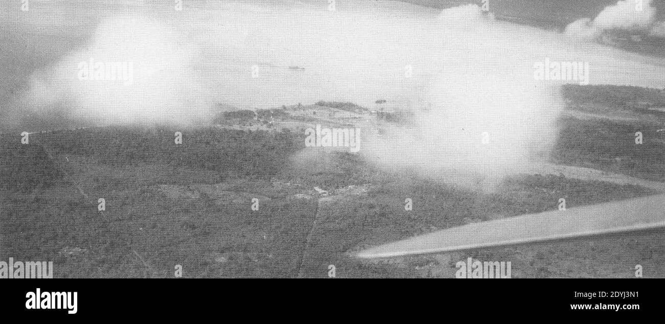 Tree invasion Black and White Stock Photos & Images - Alamy