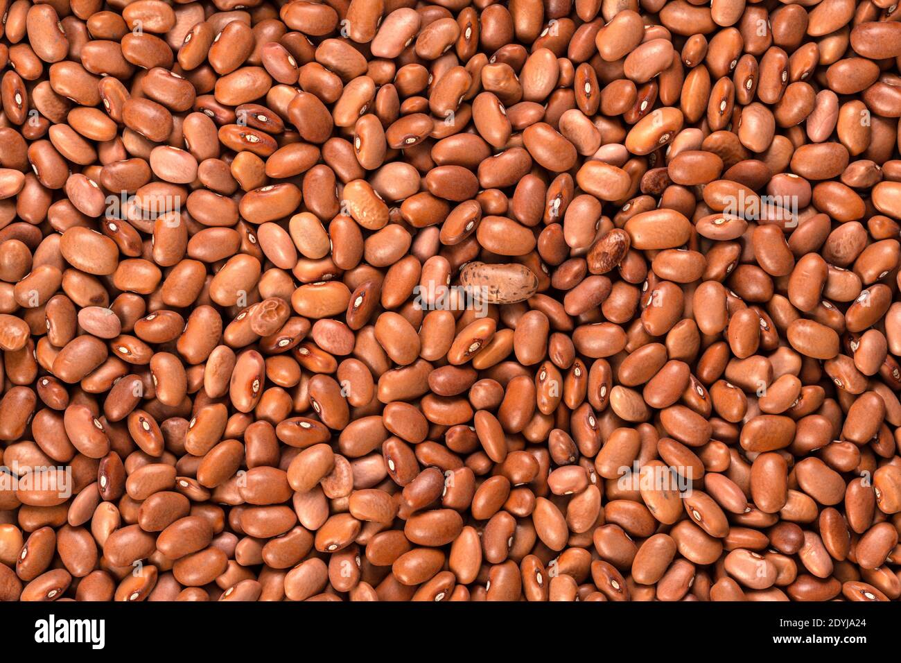 Pink kidney beans background and texture. Top view Stock Photo - Alamy