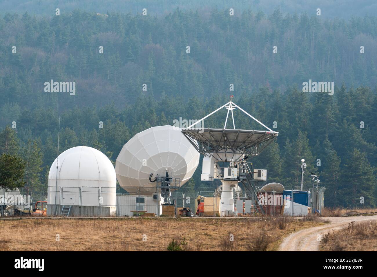 Big satellite dish antennas hidden in green pine tree forest ...