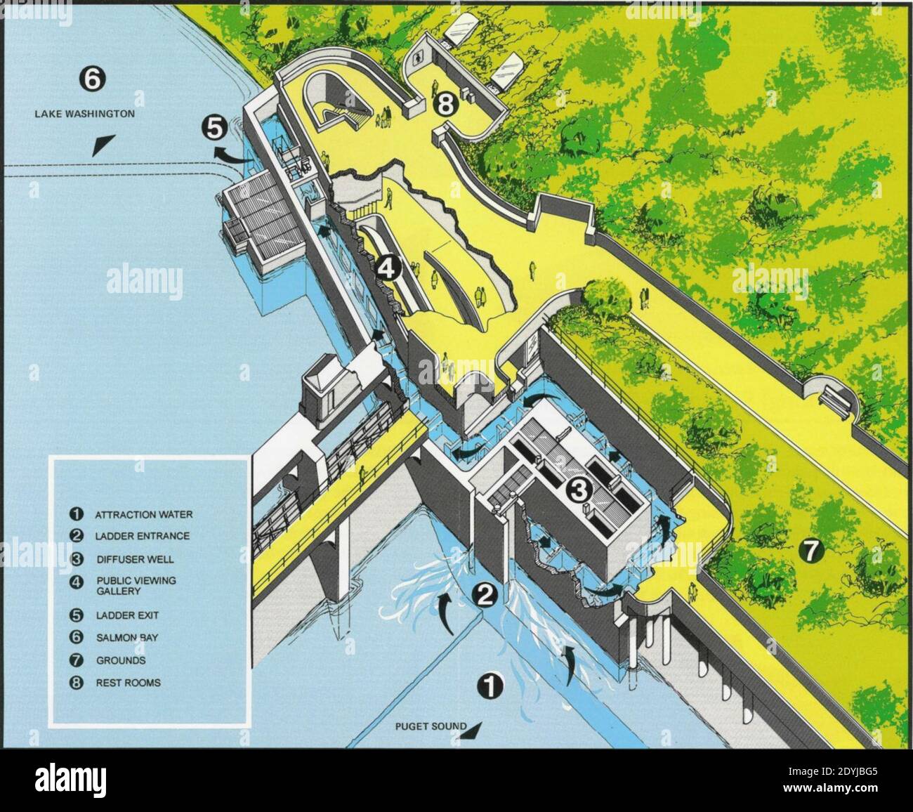 Lake Washington Ship Canal Fish Ladder pamphlet 02 Stock Photo - Alamy