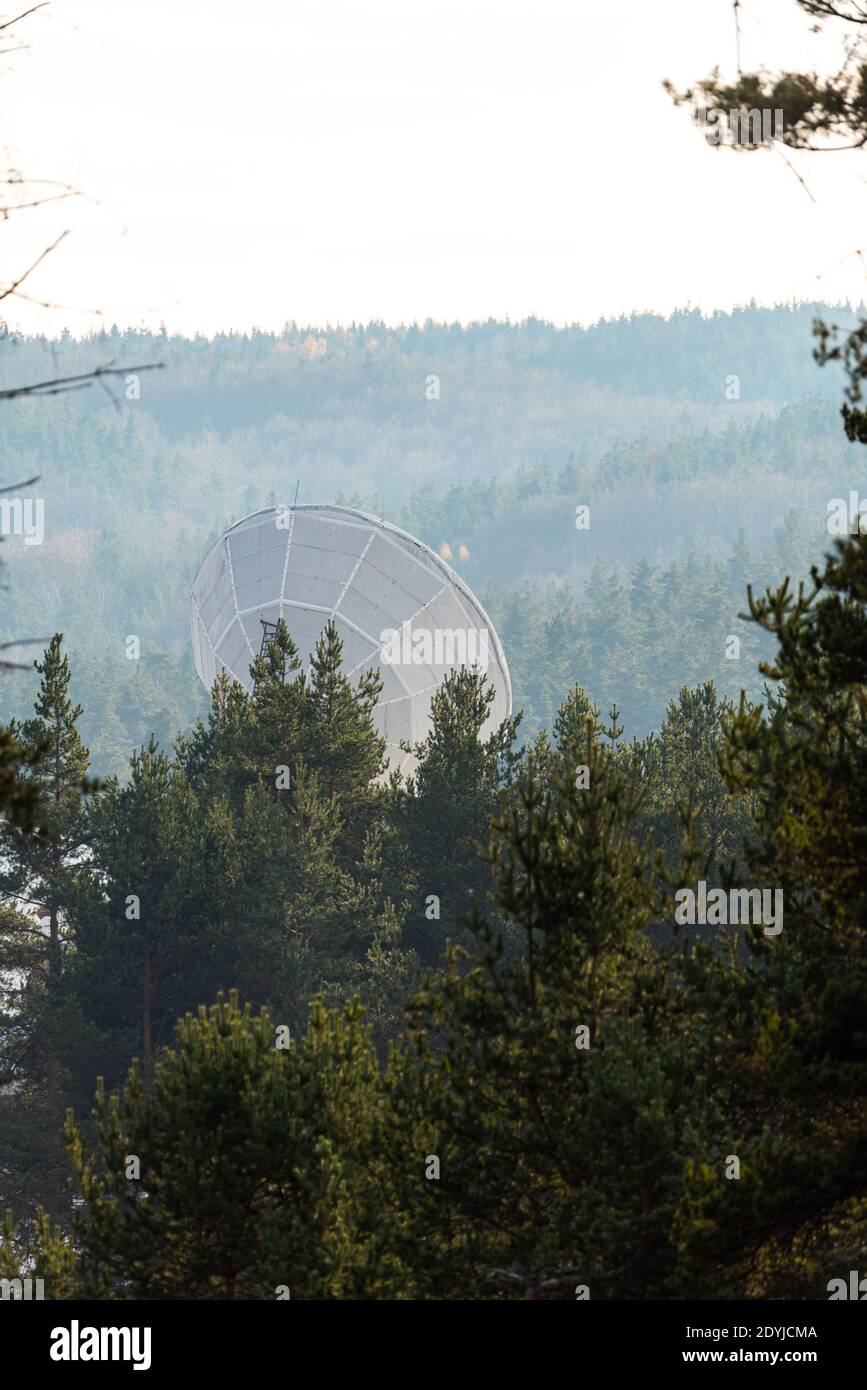 Big satellite dish antennas hidden in green pine tree forest ...