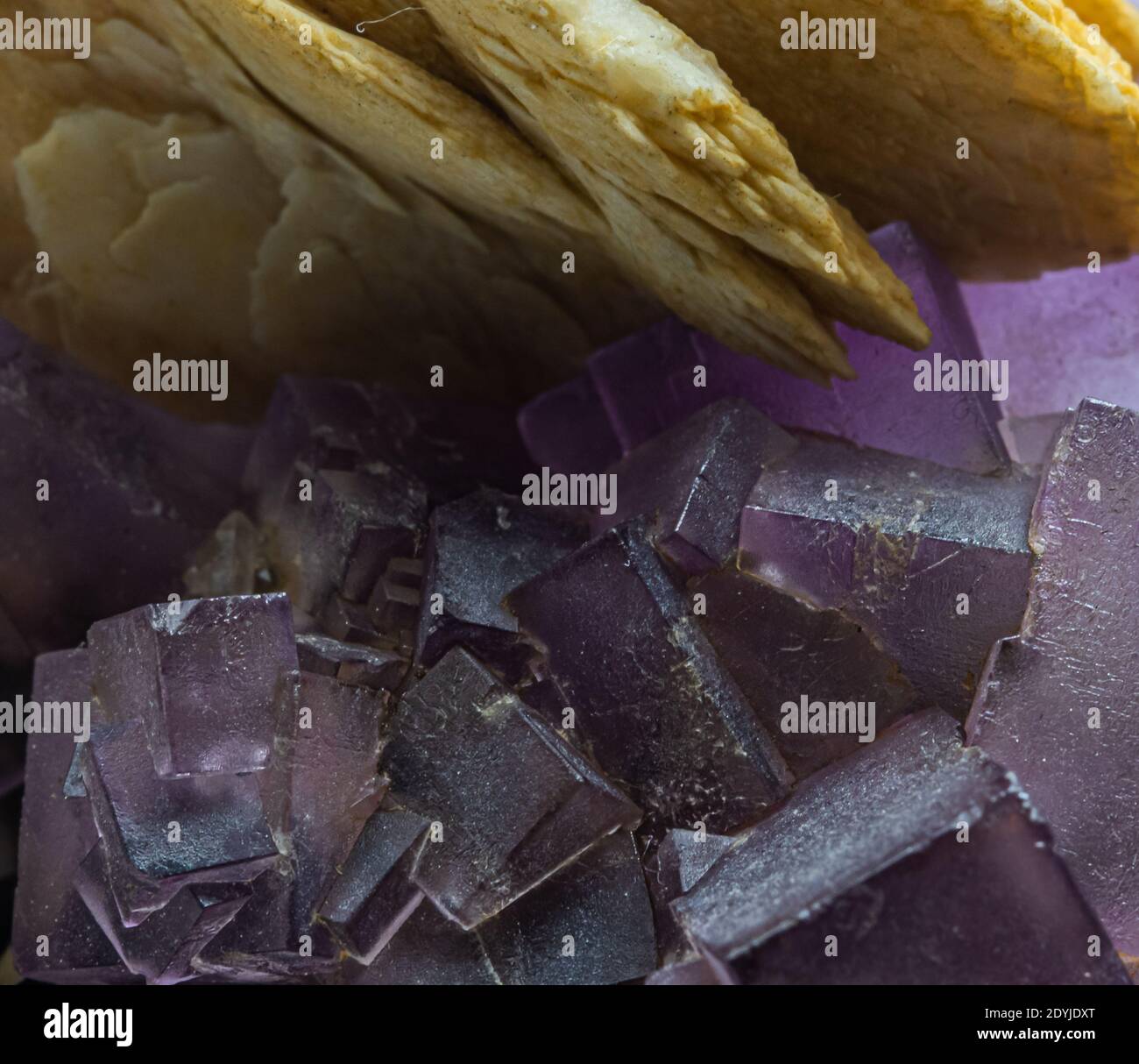 Fluor hi-res stock photography and images - Alamy