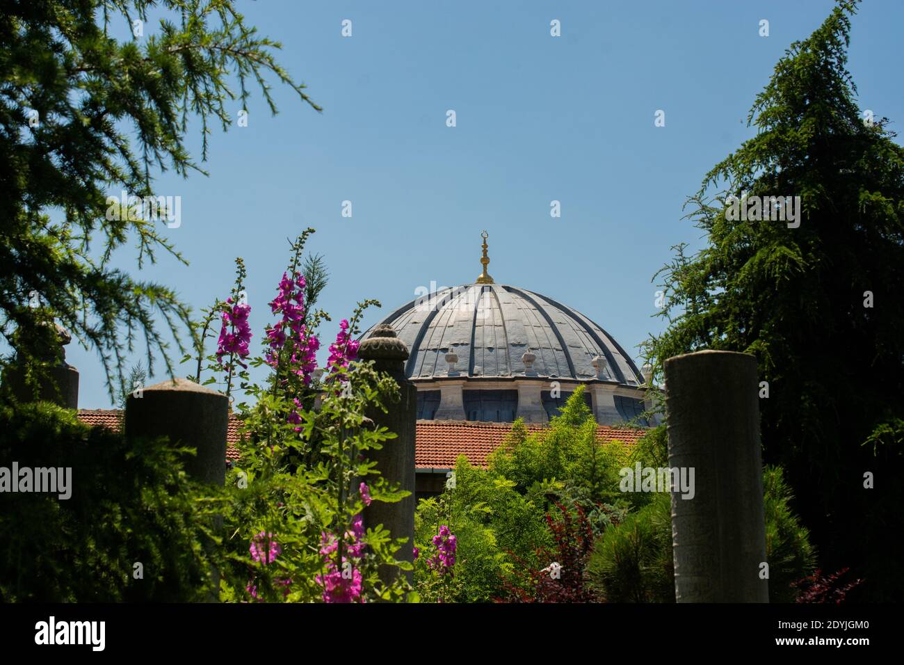 A beautiful building with a dome-shaped roof surrounded by trees and ...