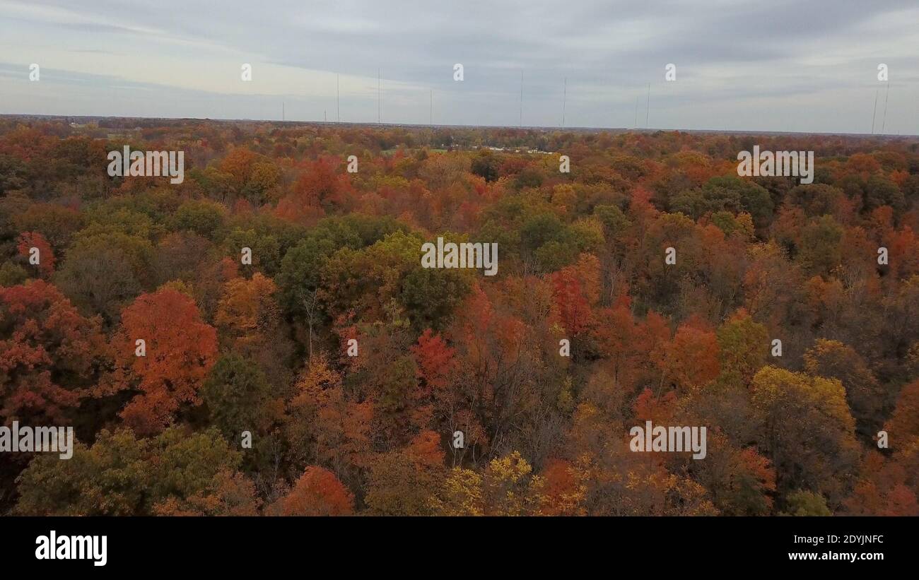 An aerial view of autumn dense forest tree Stock Photo - Alamy