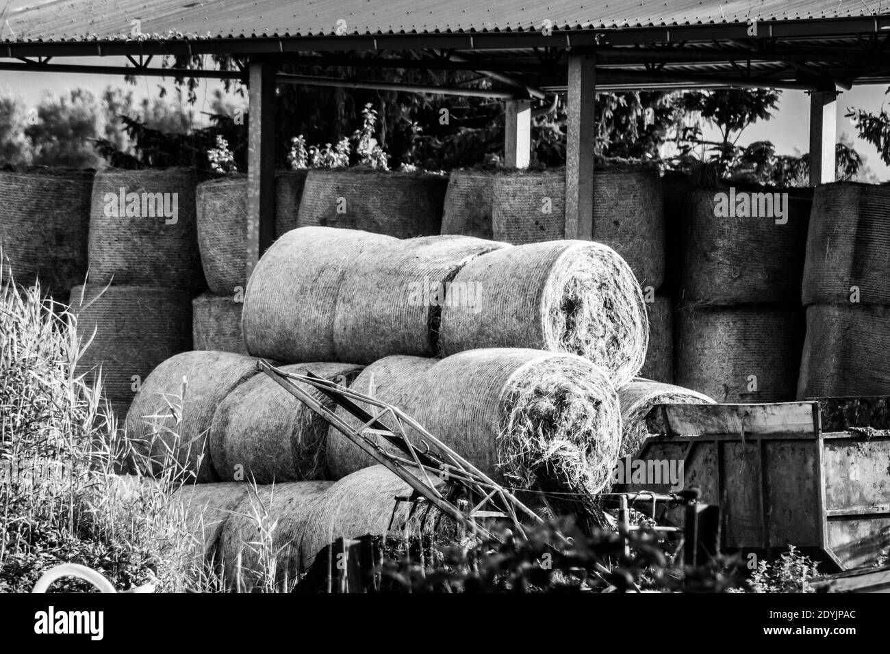 Hay bale roll Black and White Stock Photos & Images - Alamy