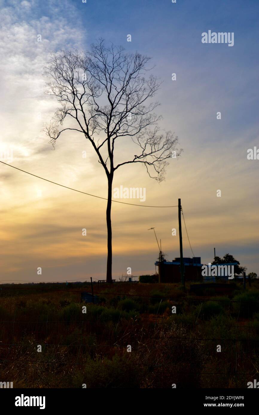 Old Australian outback shack at sunset under the silhouette of a large ...