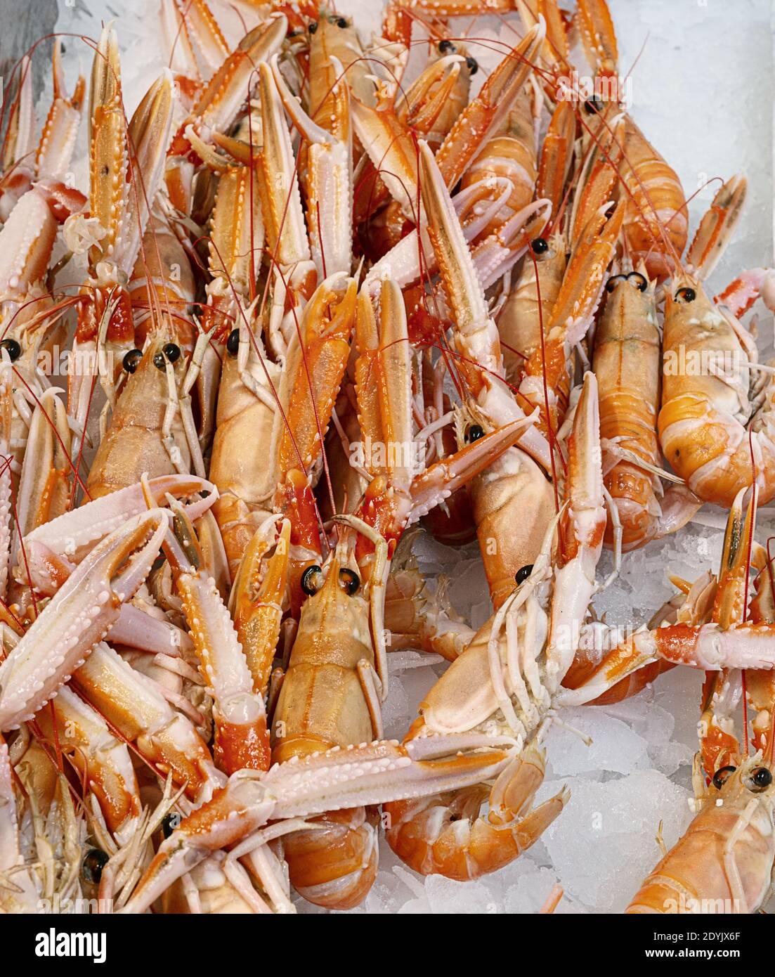 Crayfish house hi-res stock photography and images - Alamy