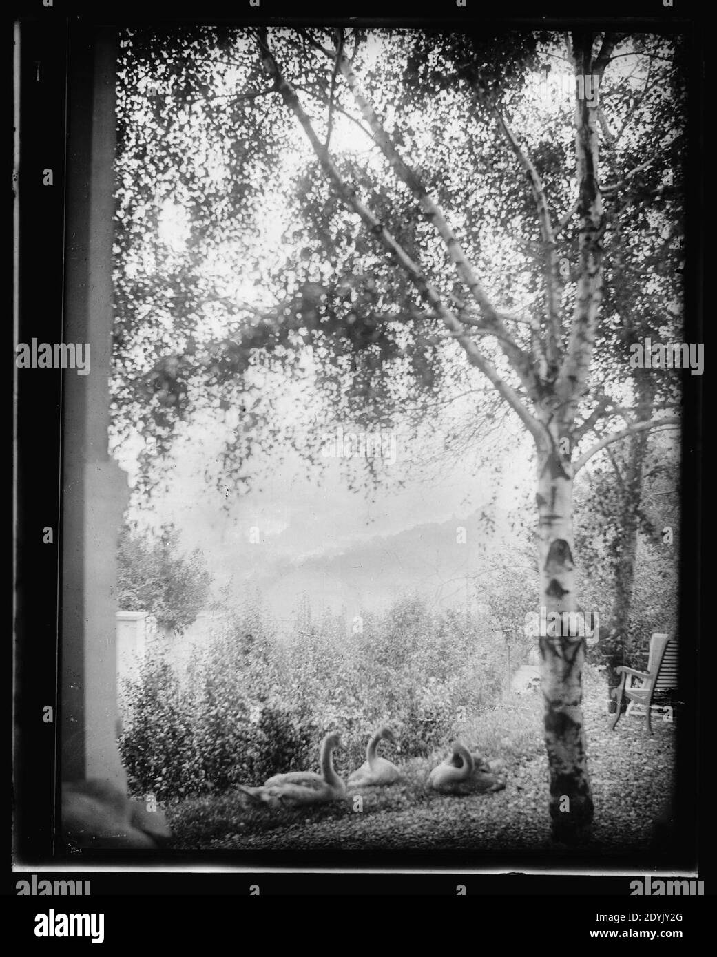 Rodin's Black and White Stock Photos & Images - Alamy