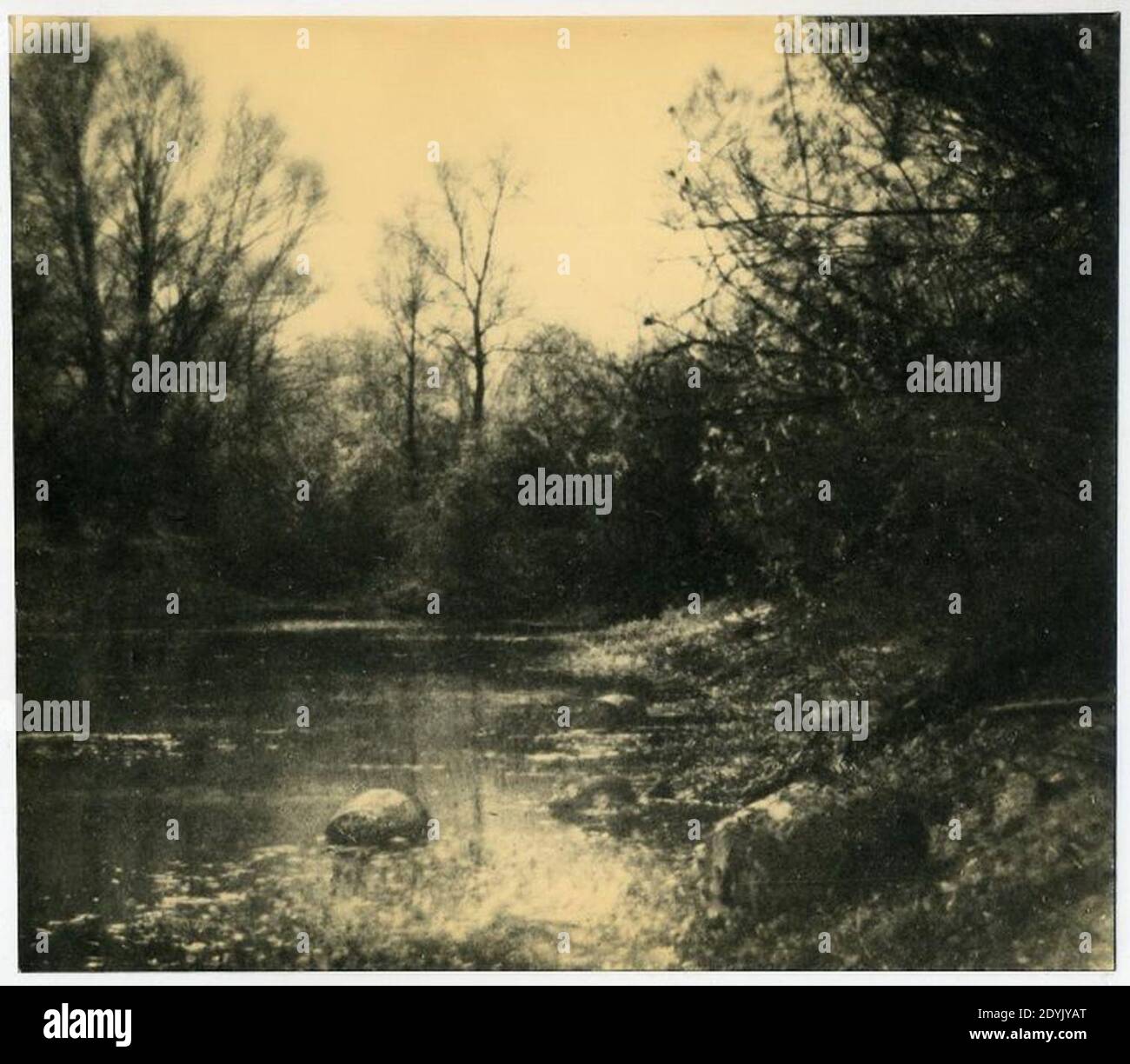 Andreyev hi-res stock photography and images - Alamy