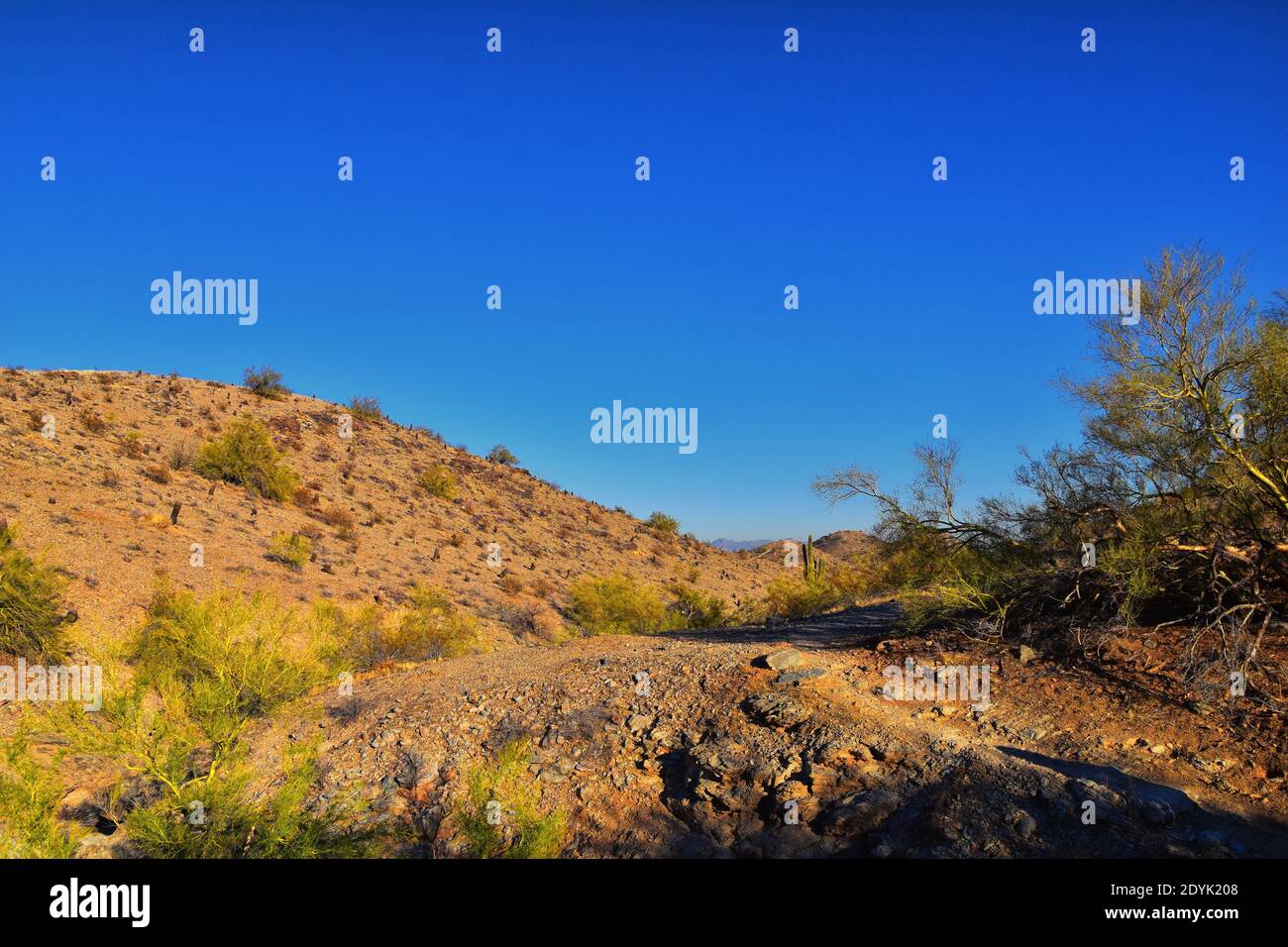 South Mountain Park and Preserve, Pima Canyon Hiking Trail, Phoenix ...