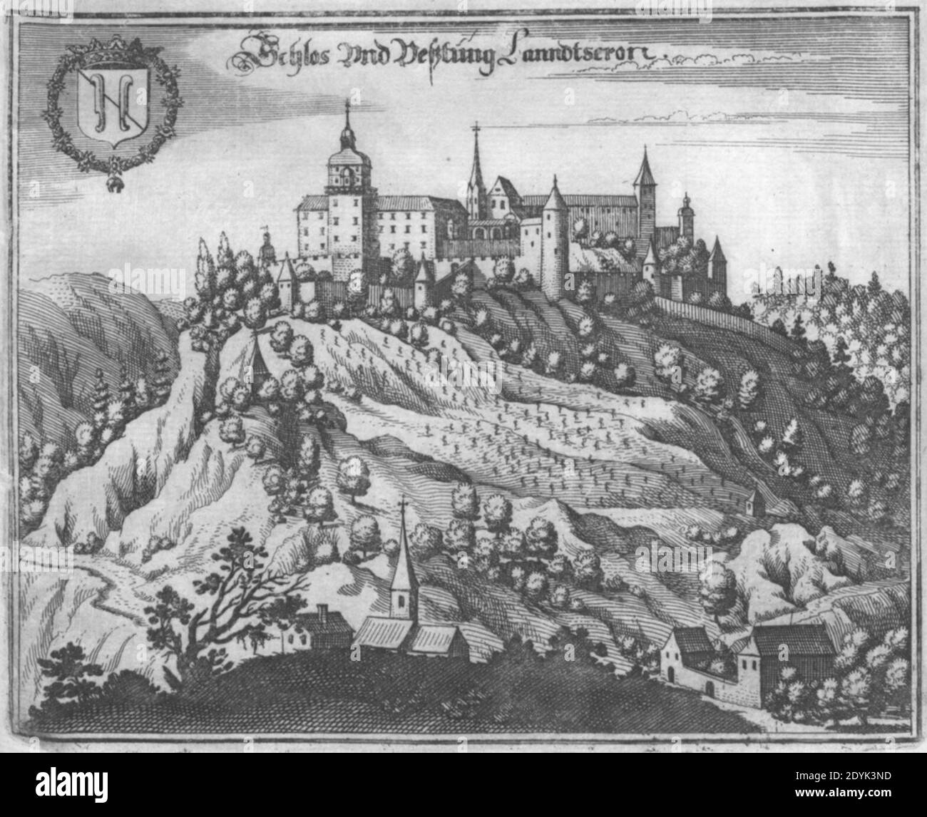 Tree cron hi-res stock photography and images - Alamy