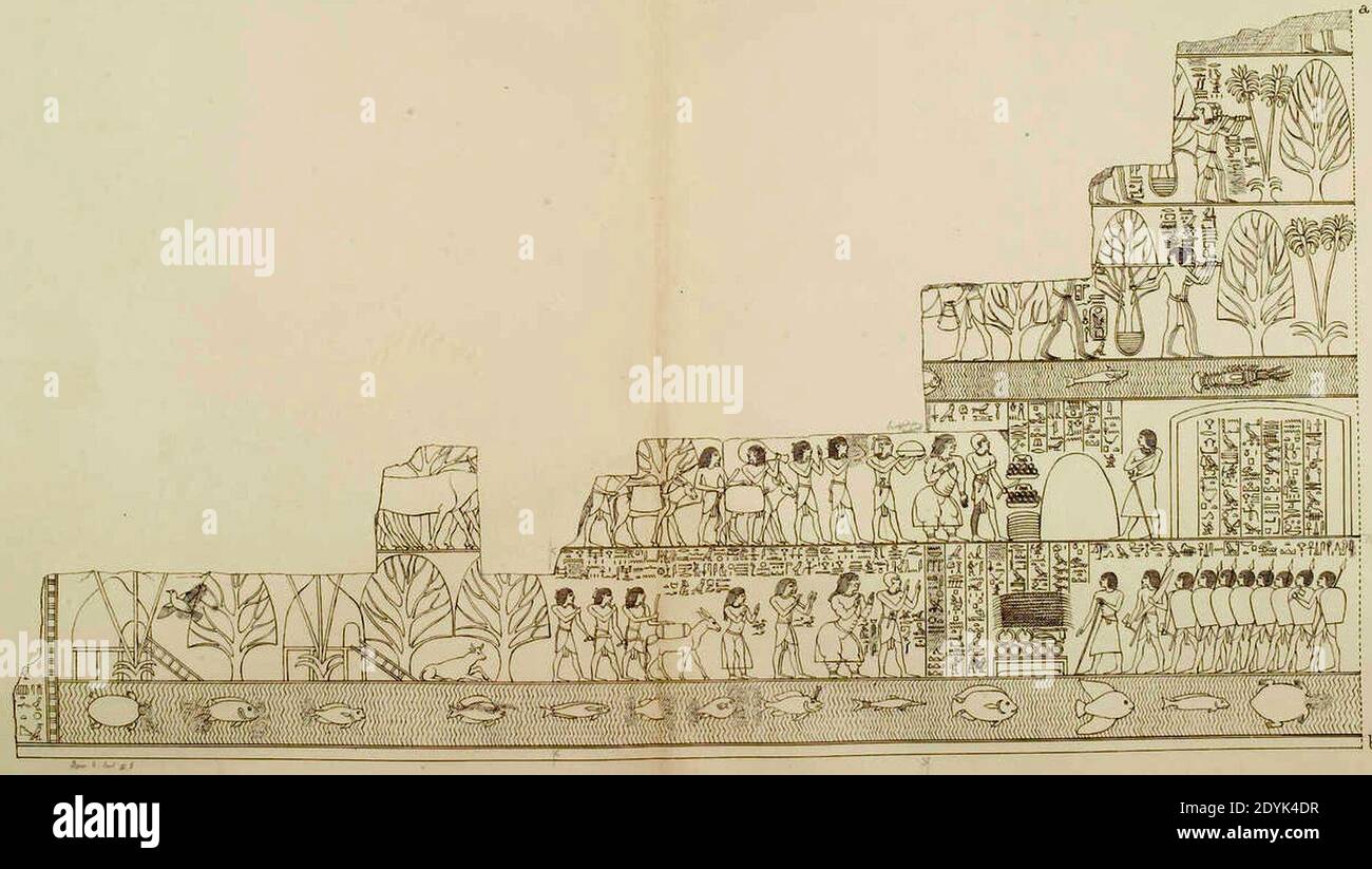 Land of Punt, royal procession Stock Photo - Alamy