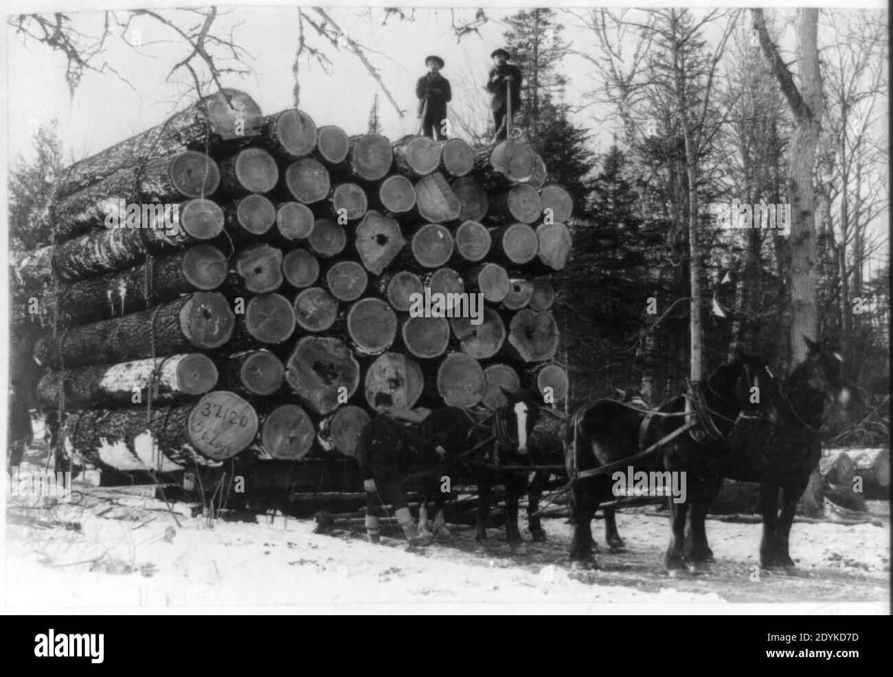 Largest load ever hauled Stock Photo - Alamy