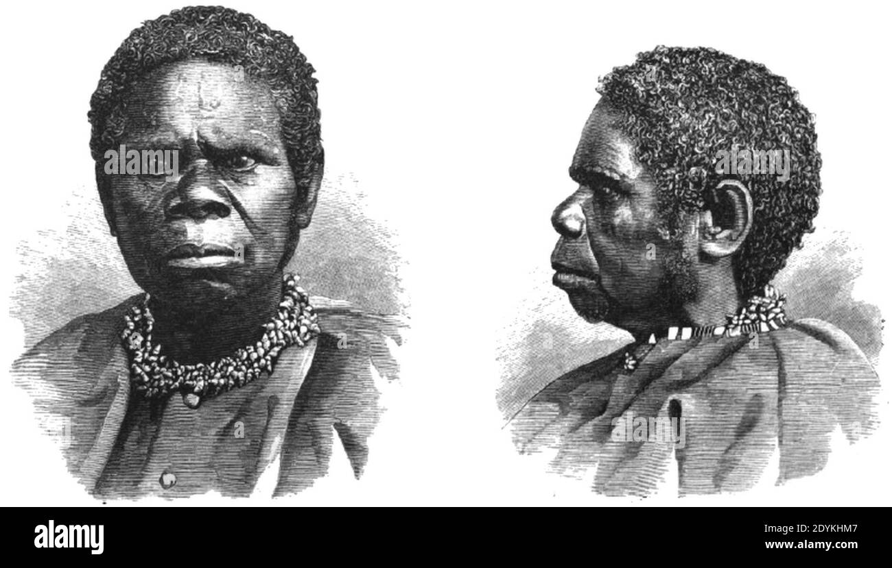 Last of the Tasmanians Woodcut 13 - Lalla Rookh or Truganina Stock ...