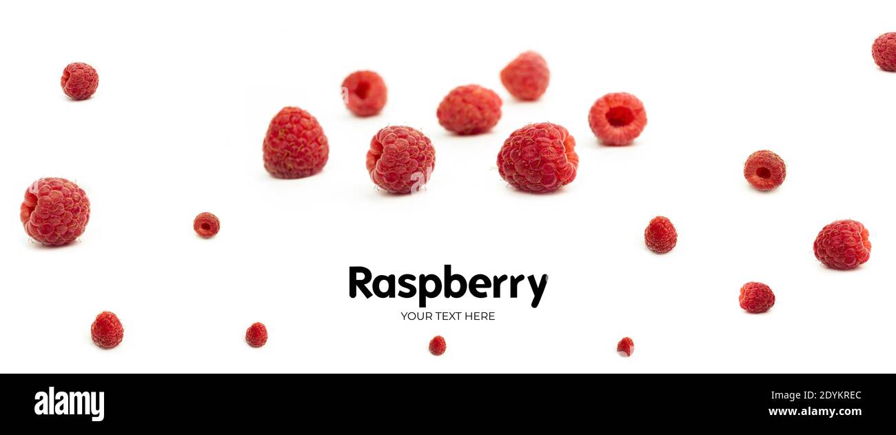 Raspberry on white background. Long header banner format. Panorama ...