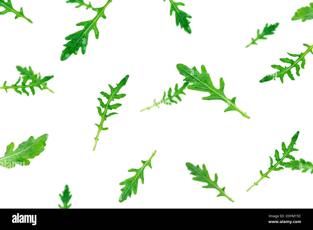 Arugula on white background. High quality photo Stock Photo - Alamy