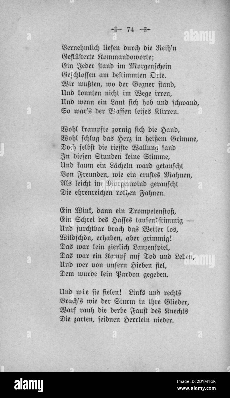 Lavant In Reih und Glied 074 Stock Photo - Alamy