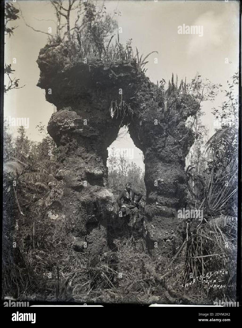 Lava Trees Arch Puna Stock Photo - Alamy