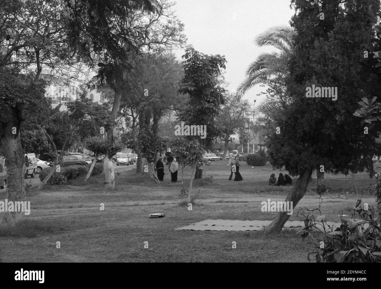 Cairo garden in Egypt : egyptians life Stock Photo - Alamy