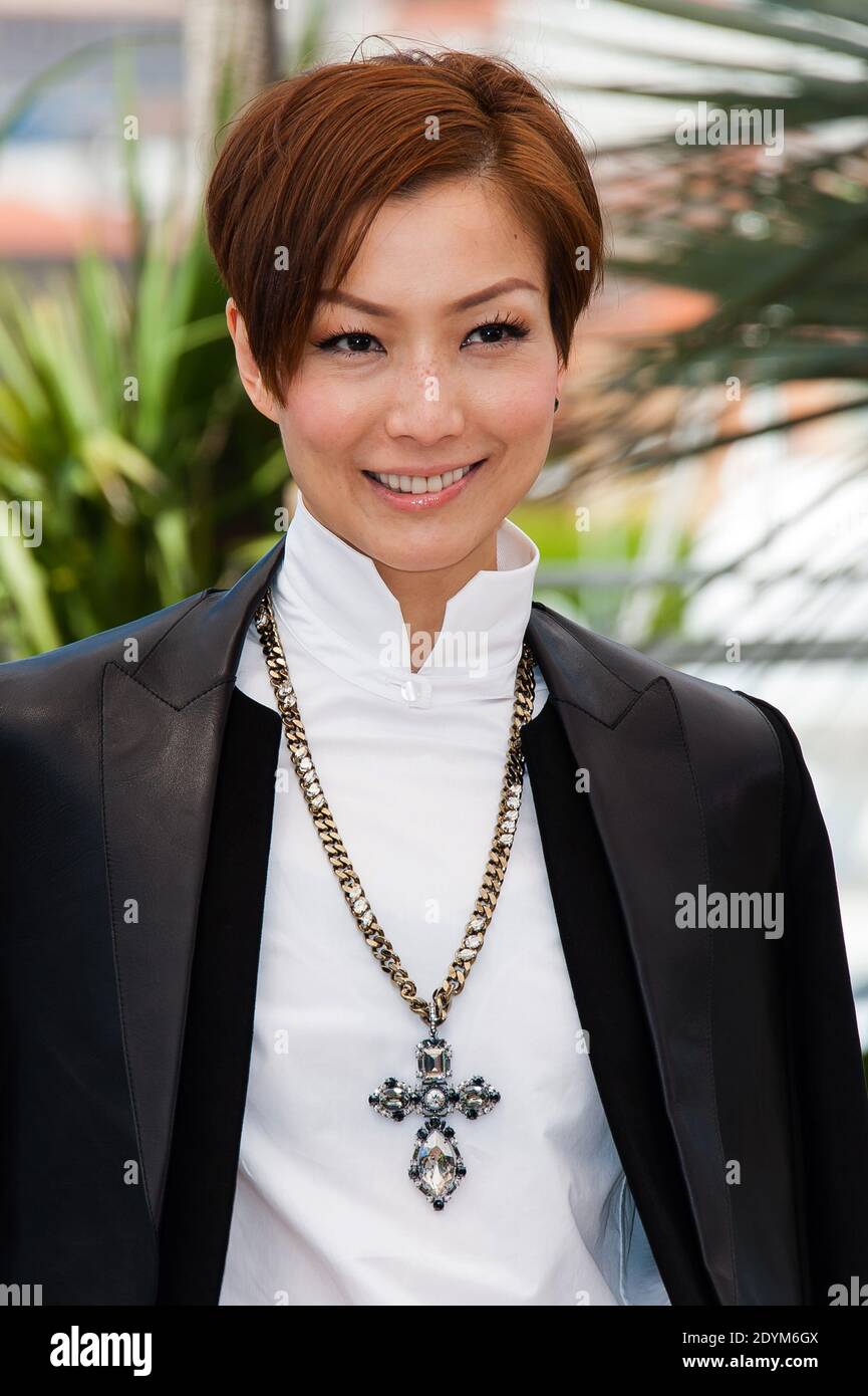 Sammi Cheng at the 'Blind Detectives' photocall held at the Palais Des ...