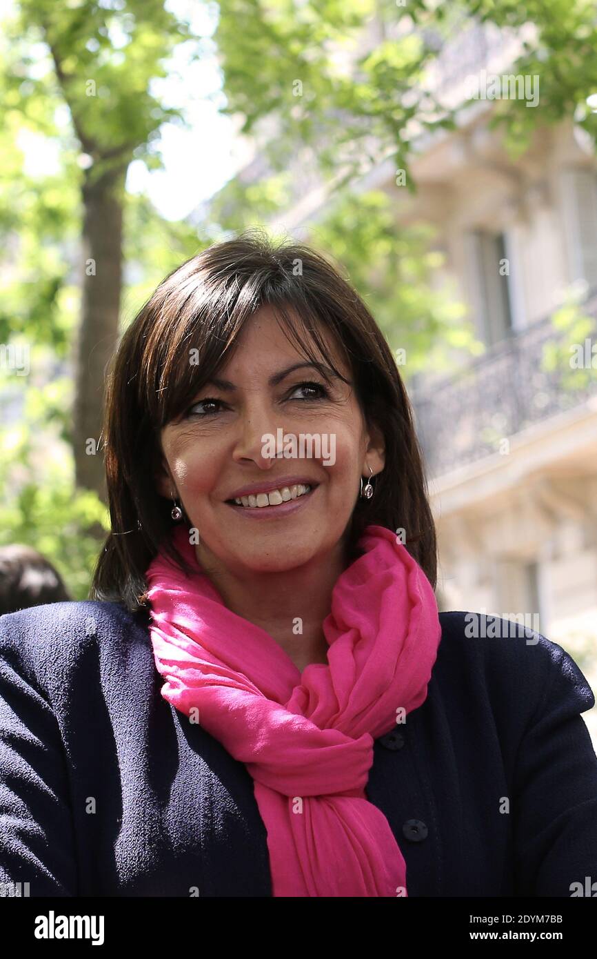 Paris deputy mayor and socialist candidate for the 2014 mayoral ...