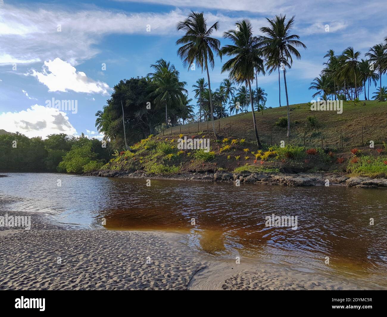 Brazilian landscape hi-res stock photography and images - Alamy