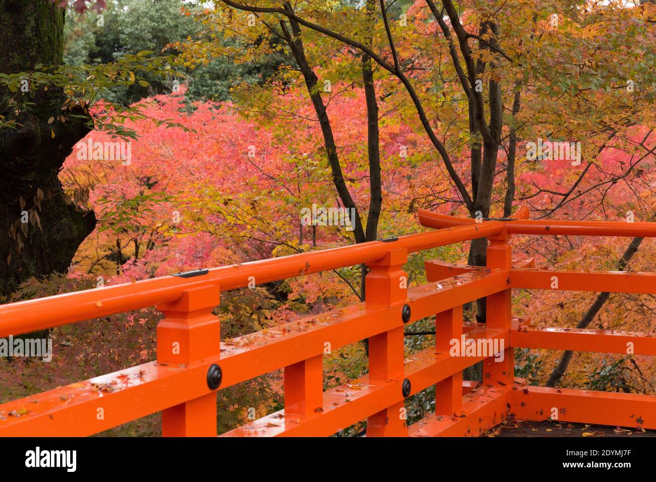 Kyoto Japan Odoi (earthwork fortification), on the west side of the ...