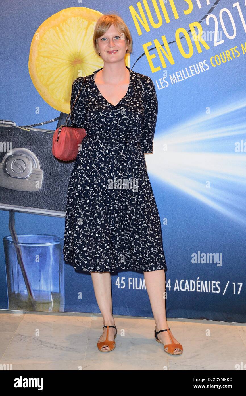 Anna Novion attending the 'Les Nuits en Or 2013 Le Panorama' Gala ...