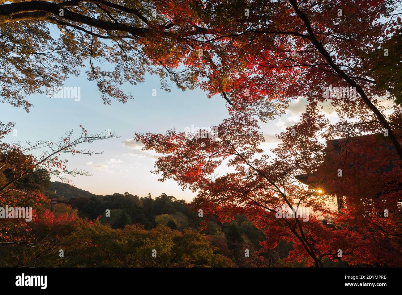 Kyoto sunset hi-res stock photography and images - Alamy