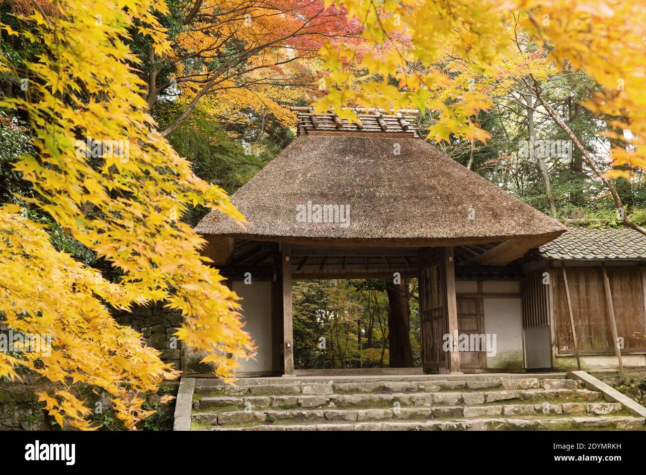 Kyoto Japan Autumn Foliage at Honen-in Temple Stock Photo - Alamy