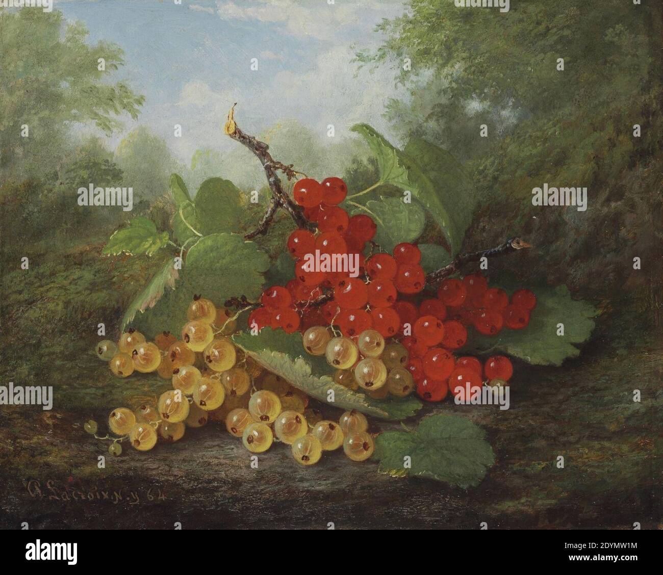 Paul LaCroix - Still Life with Red and White Currants Stock Photo - Alamy