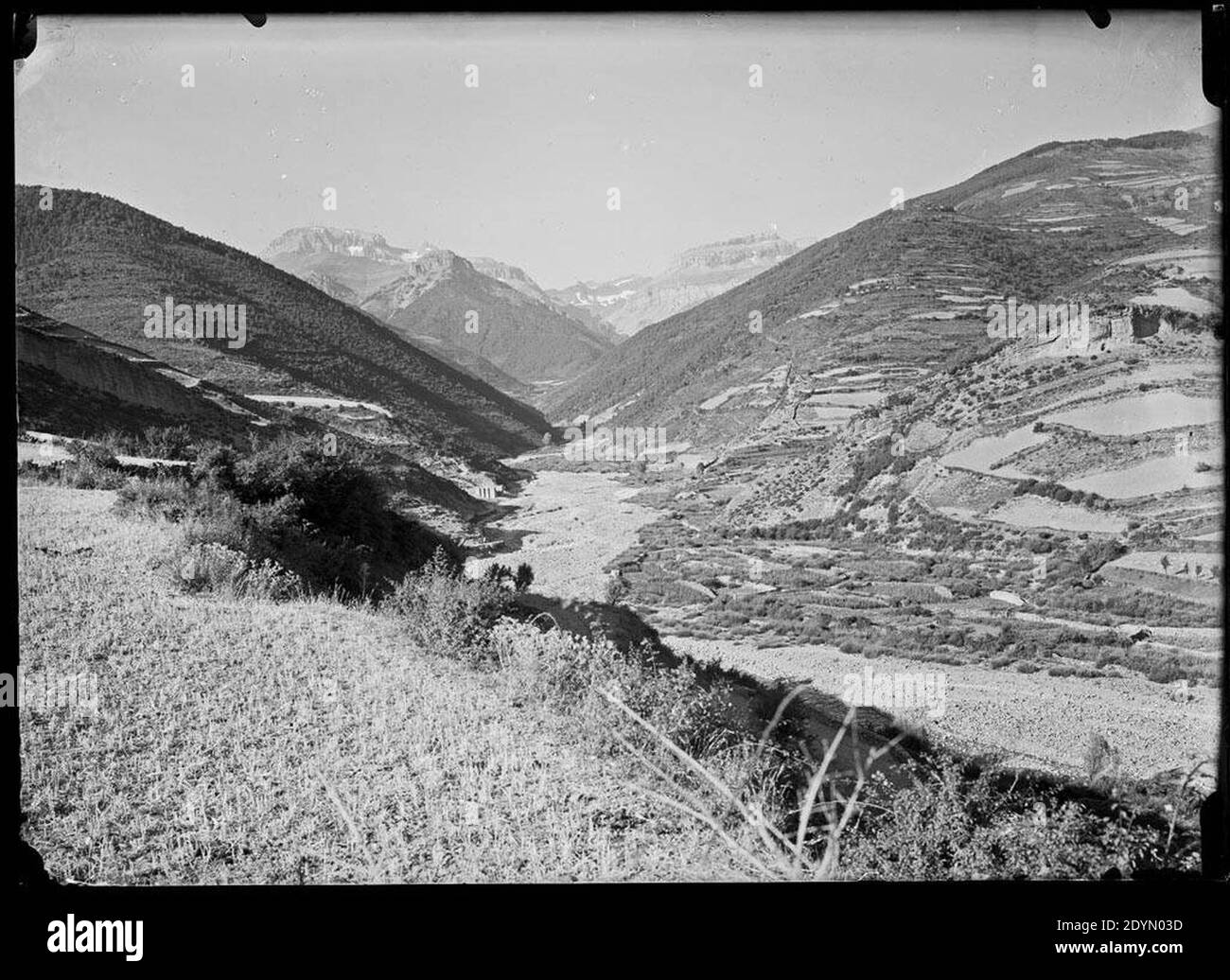 Dosia hi-res stock photography and images - Alamy