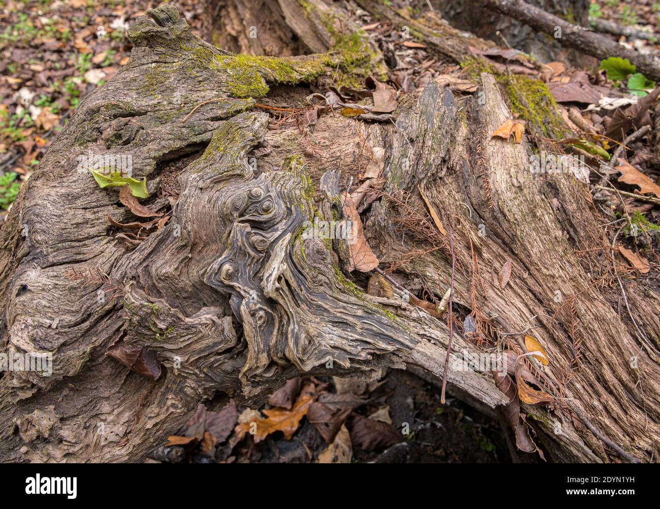 Worn wood texture hi-res stock photography and images - Alamy