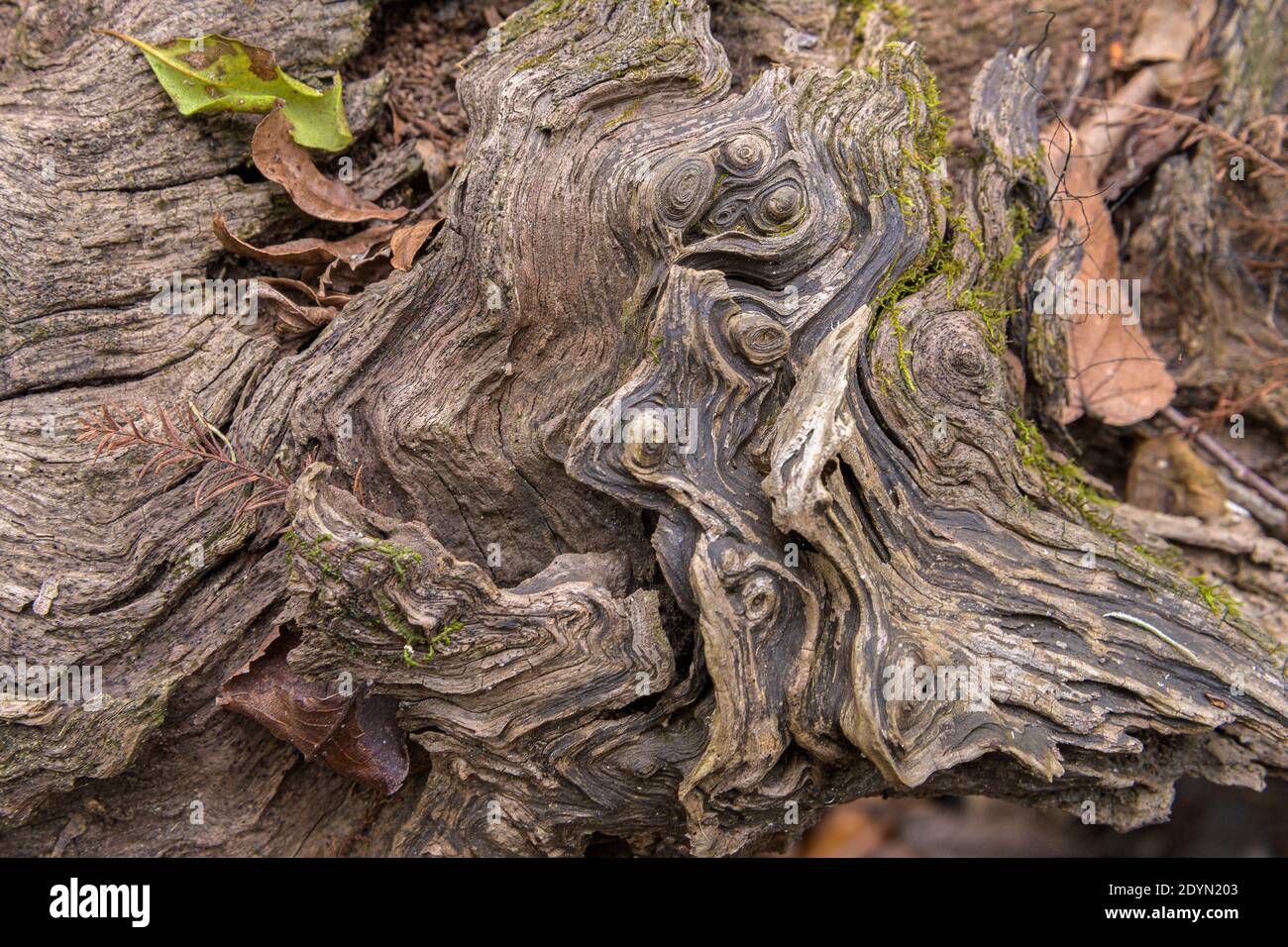 Weathered worn texture hi-res stock photography and images - Alamy