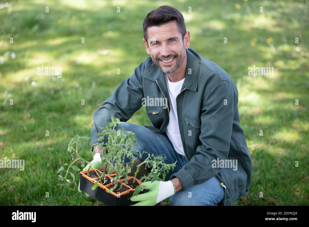 happy man gardening in backyard Stock Photo - Alamy