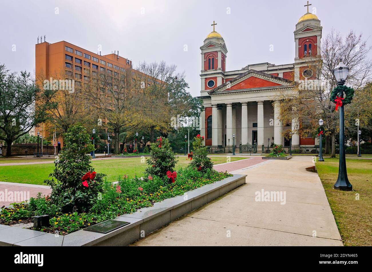 The Cathedral of the Immaculate Conception is pictured from Cathedral ...