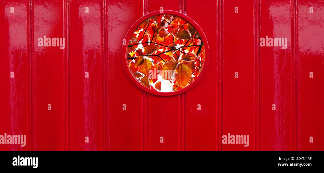 round or circle window with nature red autumn leave colorful wood wall ...