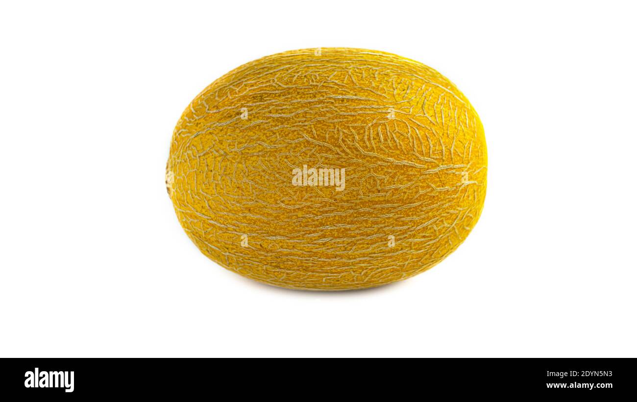 Yellow melon on a white background. . High quality photo Stock Photo ...