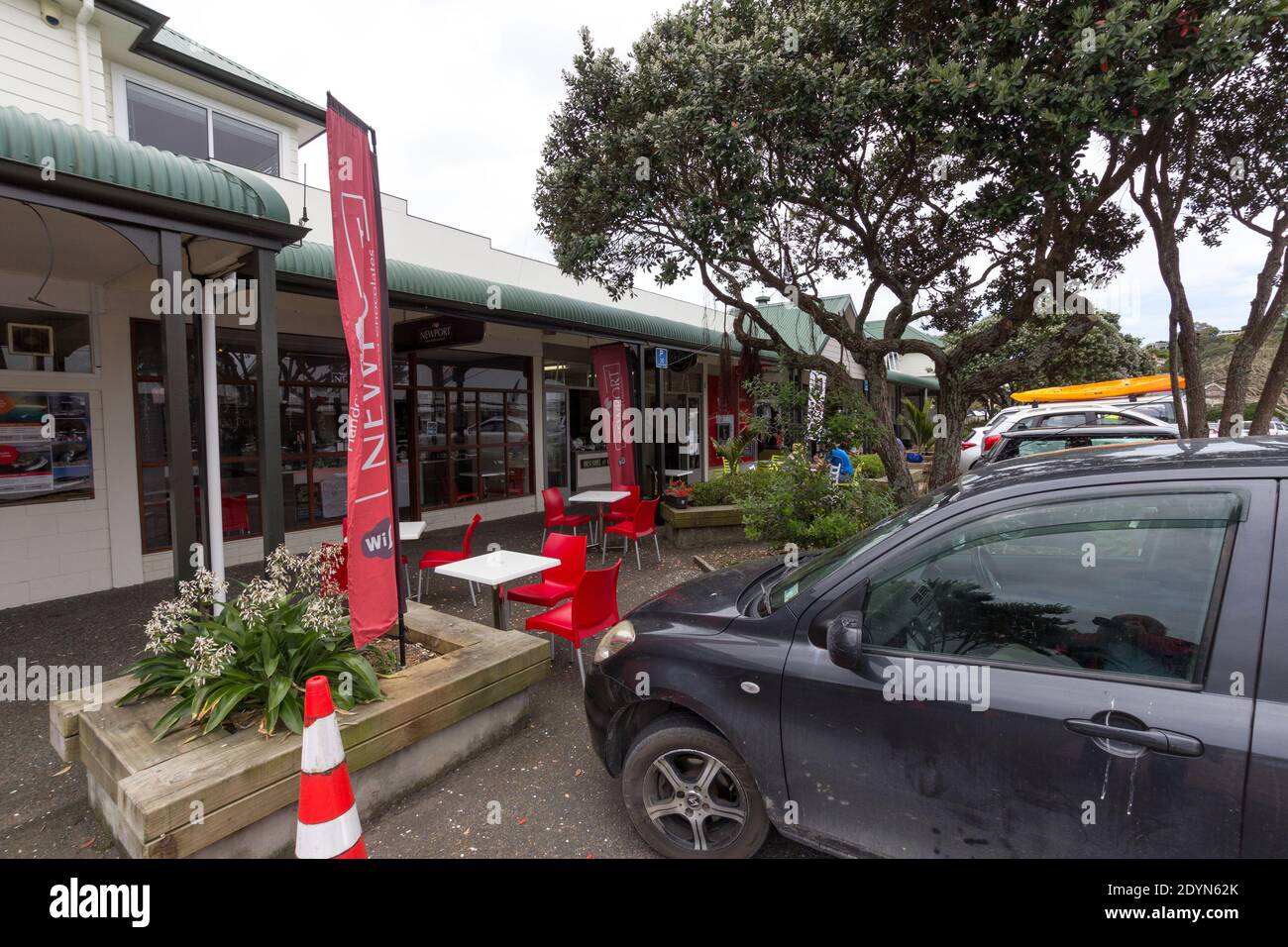 New zealand seals on beach hi-res stock photography and images - Alamy