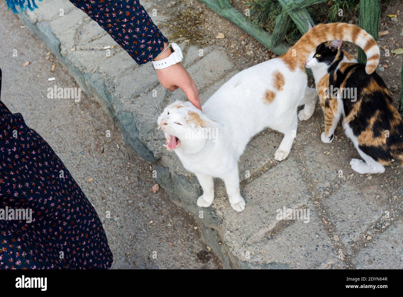 Tochal complex hi-res stock photography and images - Alamy