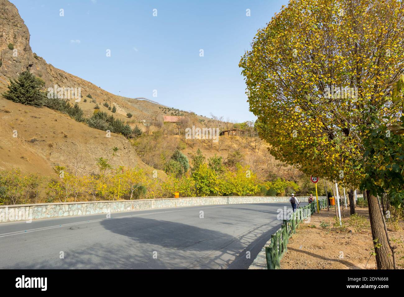 Trees with golden leave on the roadside at the entrance to the Tochal ...