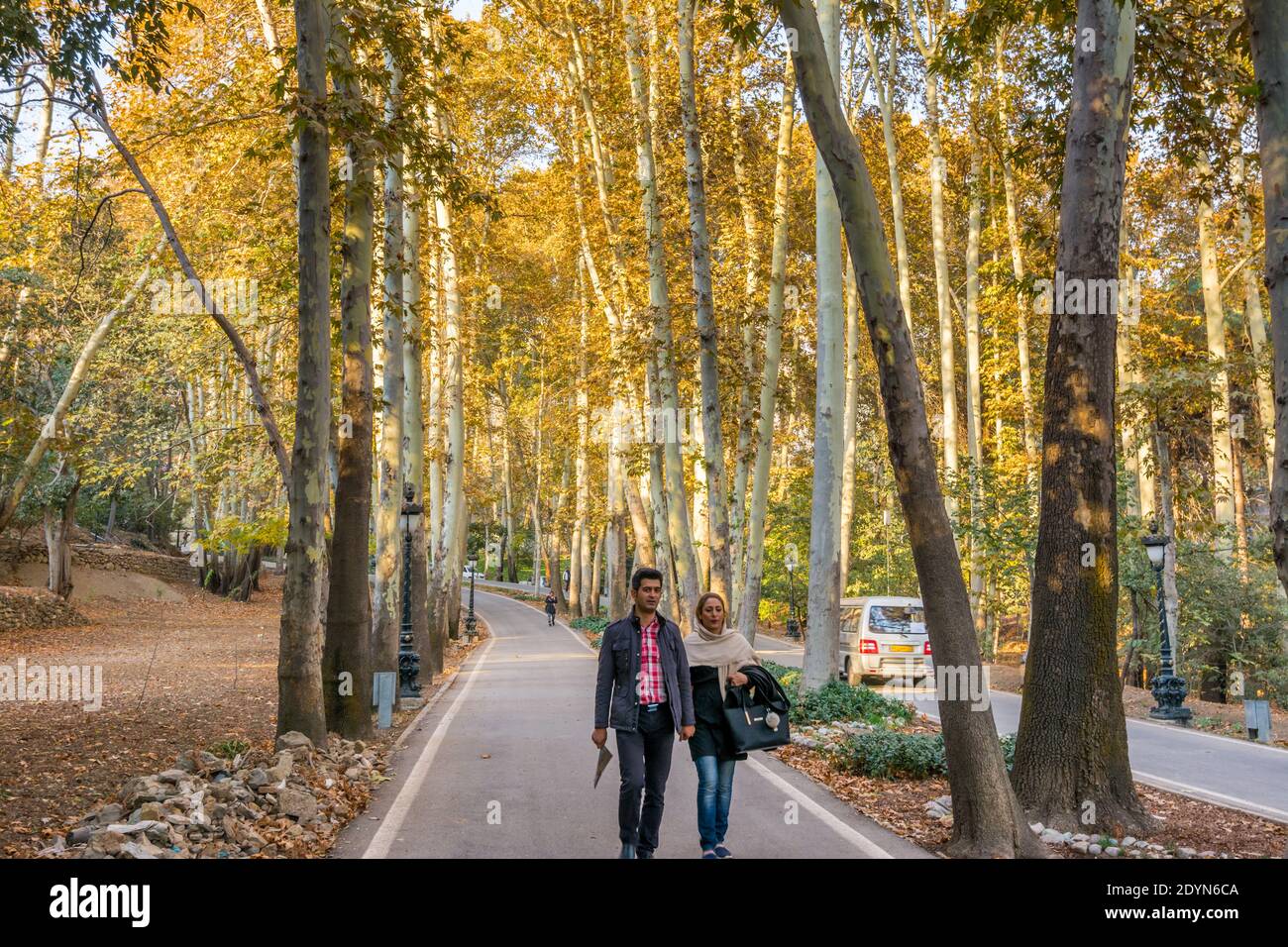 Iranian visitor walking in the park of Sa'dabad palace Complex in ...